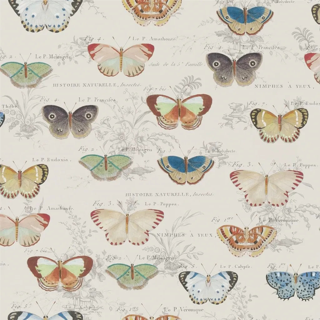 Butterfly Studies Wallpaper | Shipping USA – Gustavian